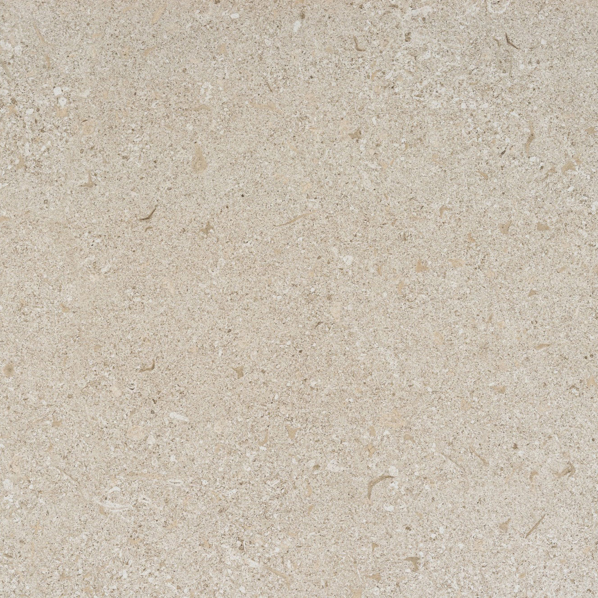 Vk02 Avorio Dekton Porcelain Countertop by Cosentino | Matte Finish ...