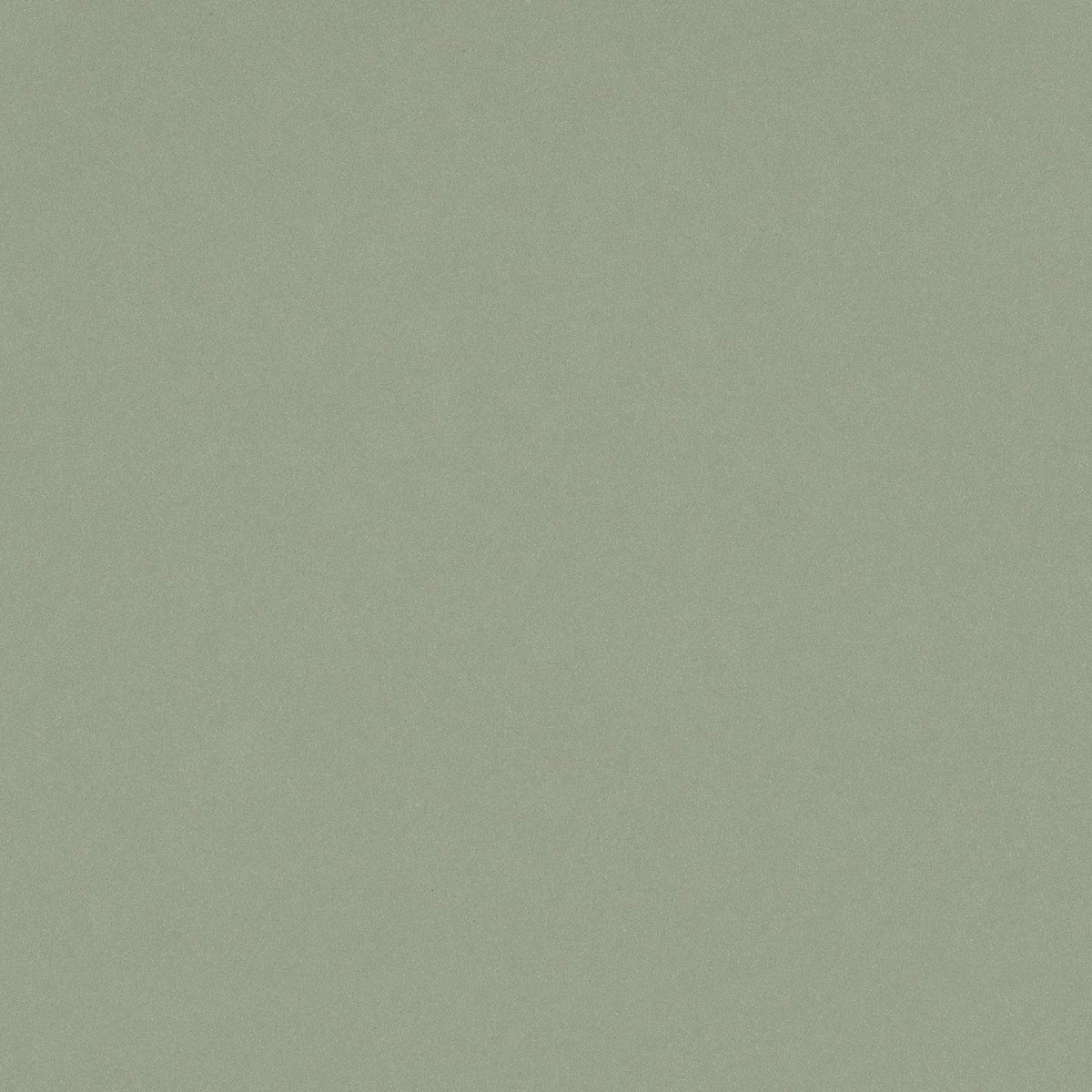 Posidonia Green Silestone Quartz Countertop by Cosentino | Suede Finish ...